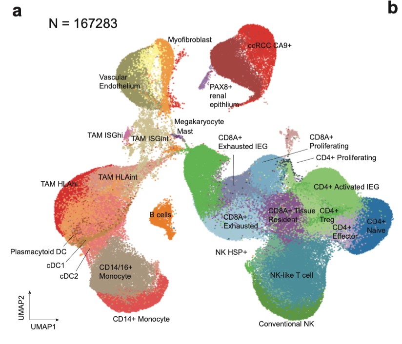 Computational Immunology Platform | Lerner Research Institute